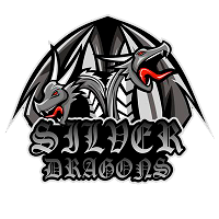 Silver Dragons: Valorant Team Profile | VLR.gg